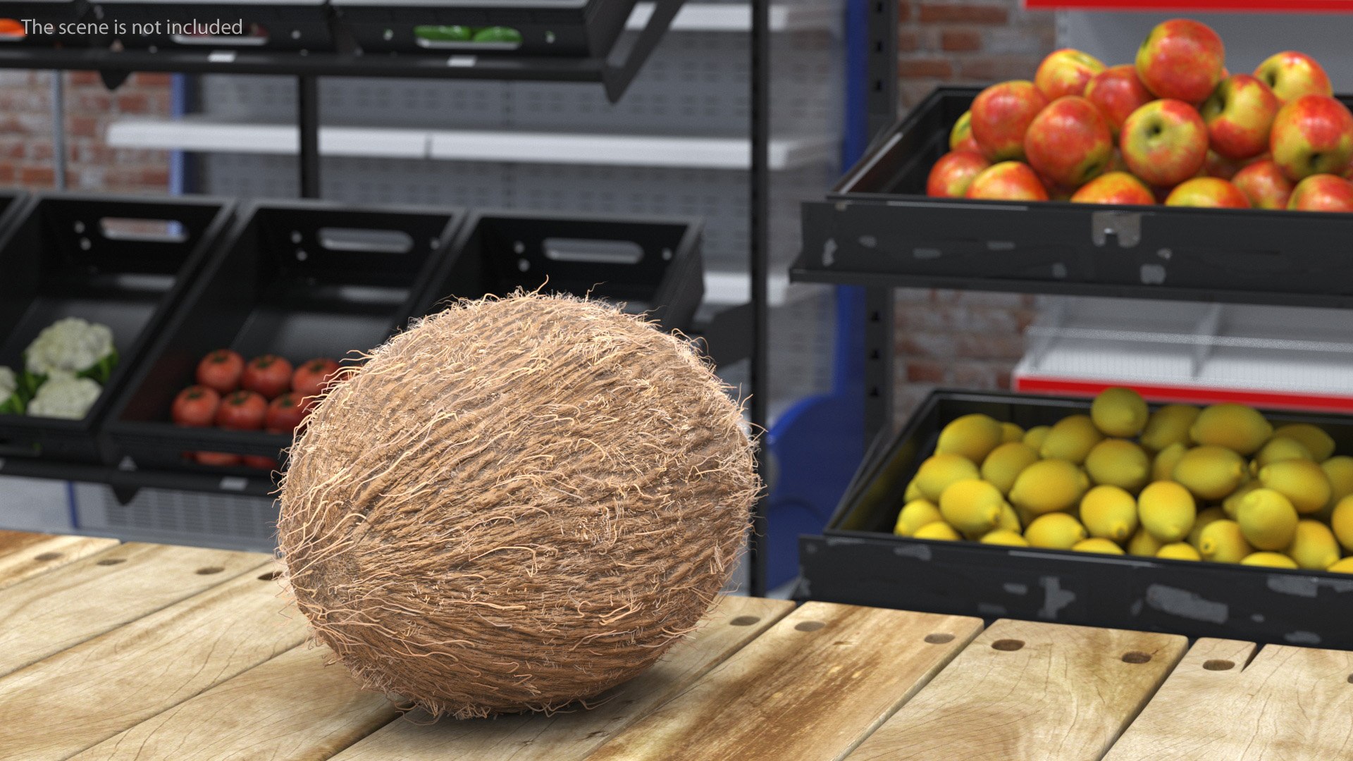 Coconut Fur 3D Model - TurboSquid 2395954