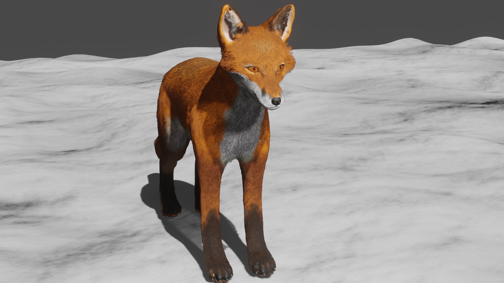 3D FOX - TurboSquid 1762745