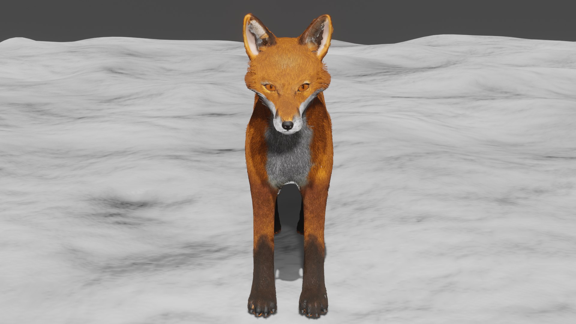 3D FOX - TurboSquid 1762745