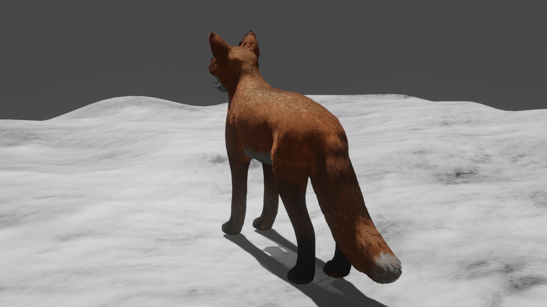 3D FOX - TurboSquid 1762745