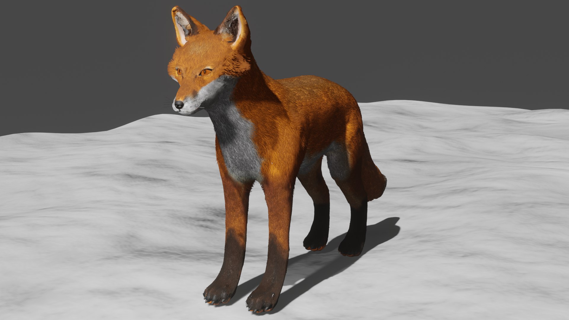 3D FOX - TurboSquid 1762745