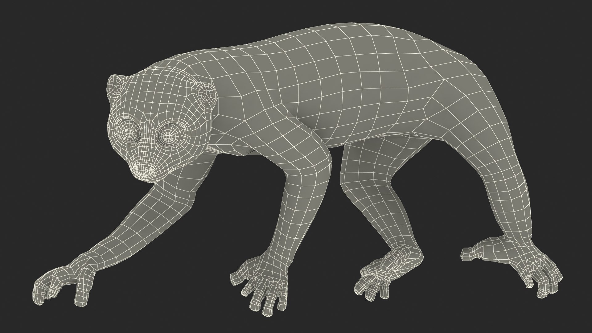 3D Sunda Slow Loris Fur - TurboSquid 2140965