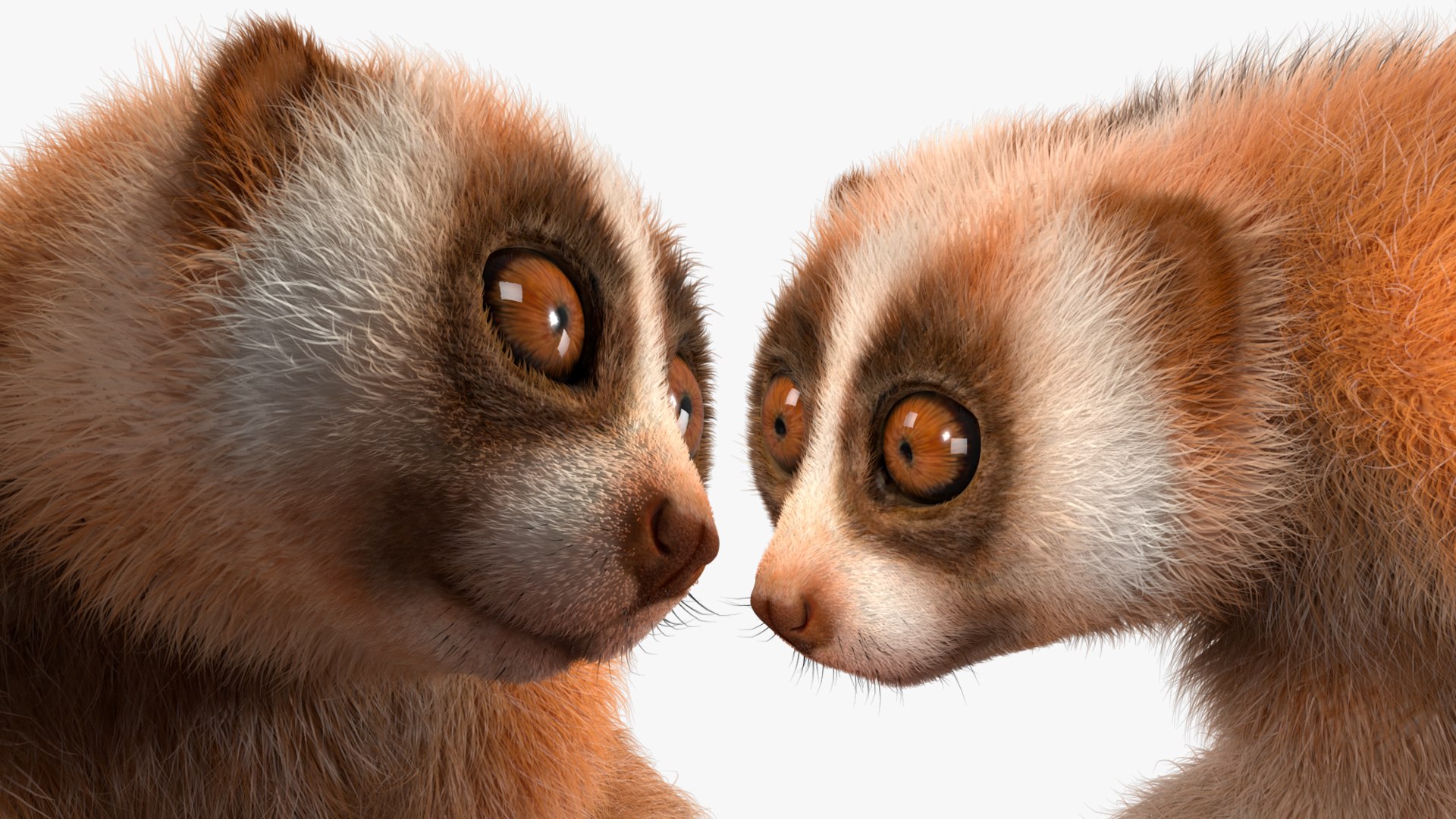 3D Sunda Slow Loris Fur - TurboSquid 2140965