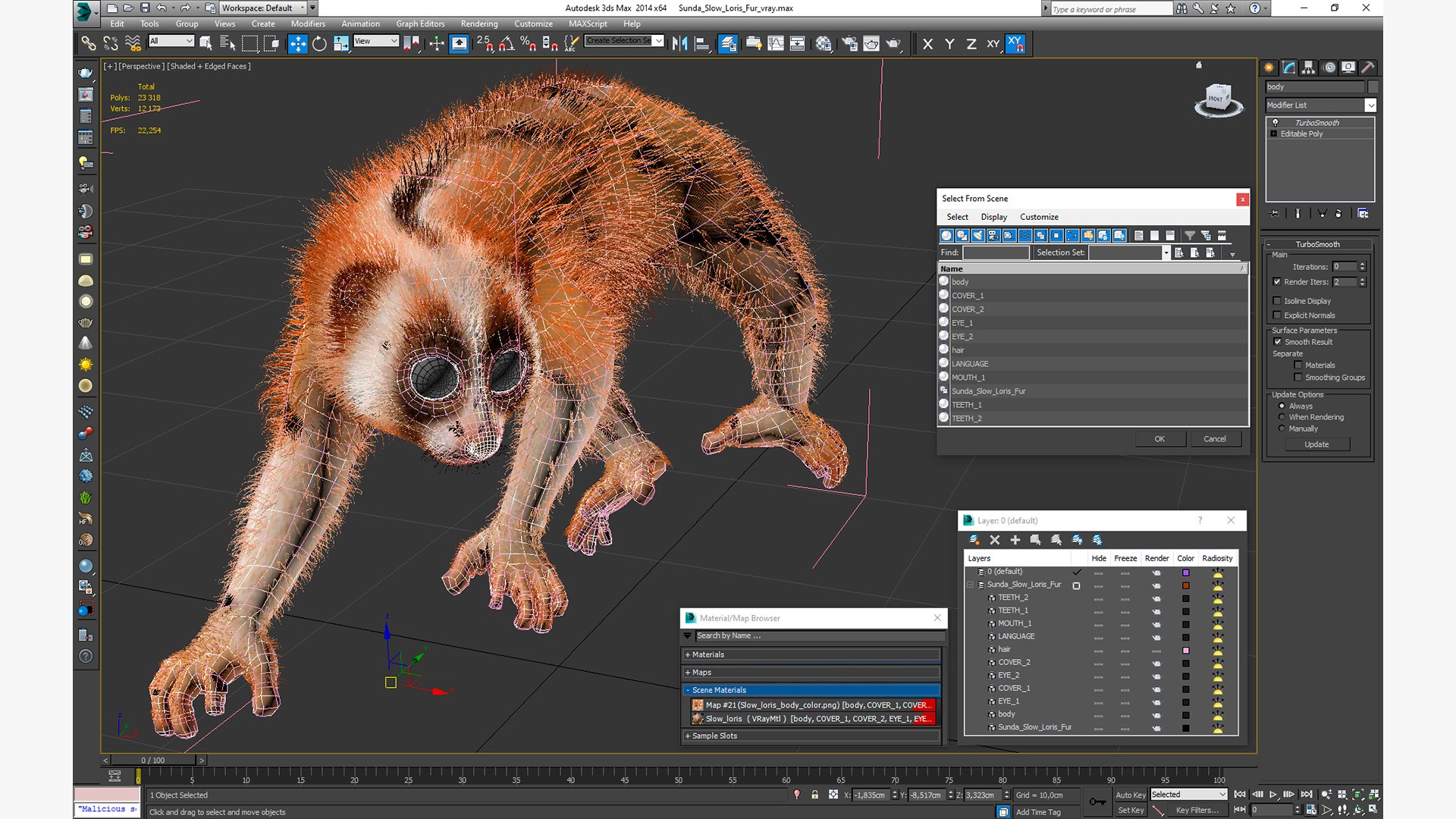 3D Sunda Slow Loris Fur - TurboSquid 2140965