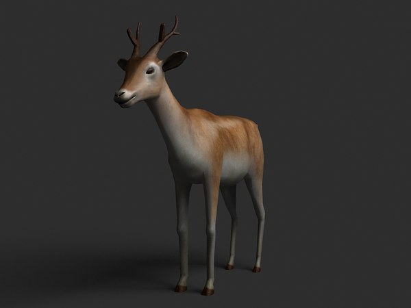max deer