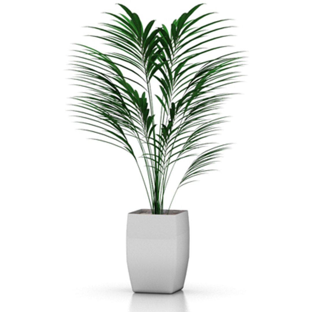 3d stylish palm model