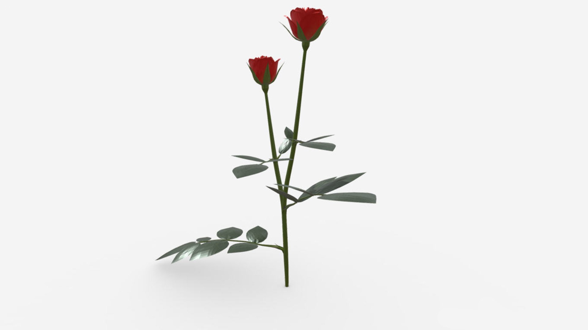 3D Rose flower tree - TurboSquid 2115967