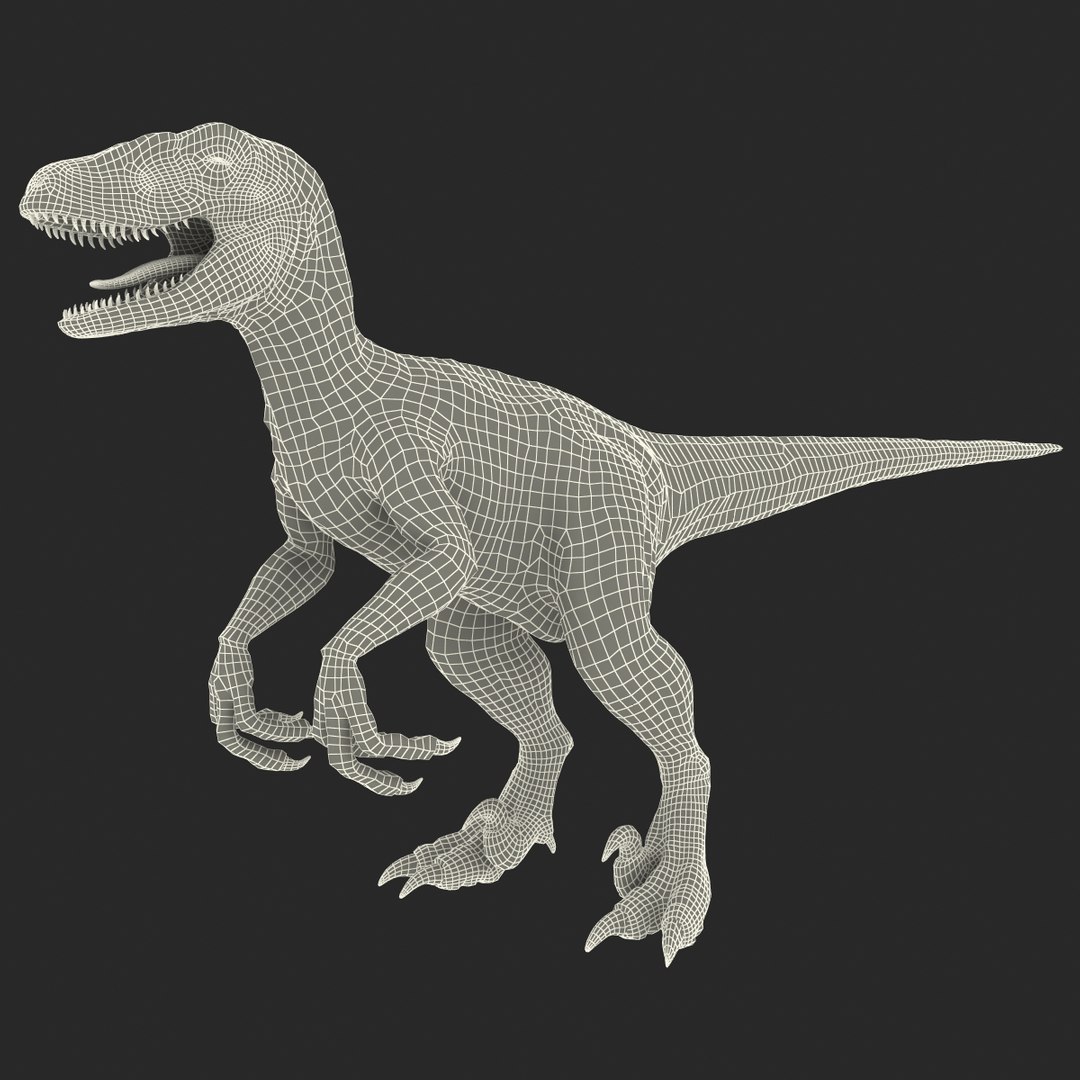 Raptor Dinosaur 3d Model