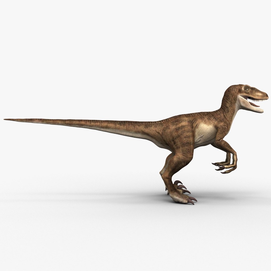 Raptor Dinosaur 3d Model