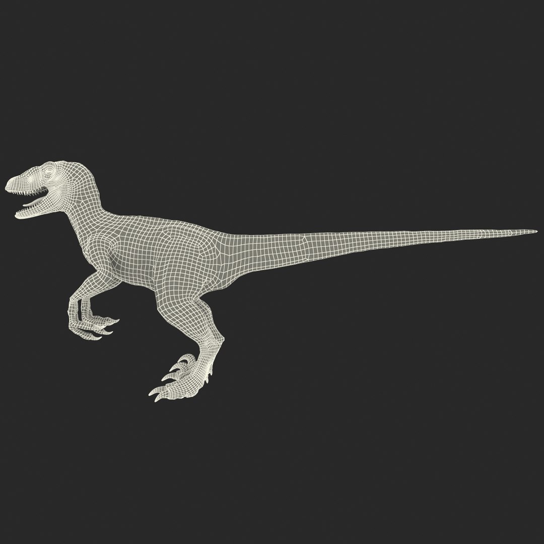 Raptor Dinosaur 3d Model