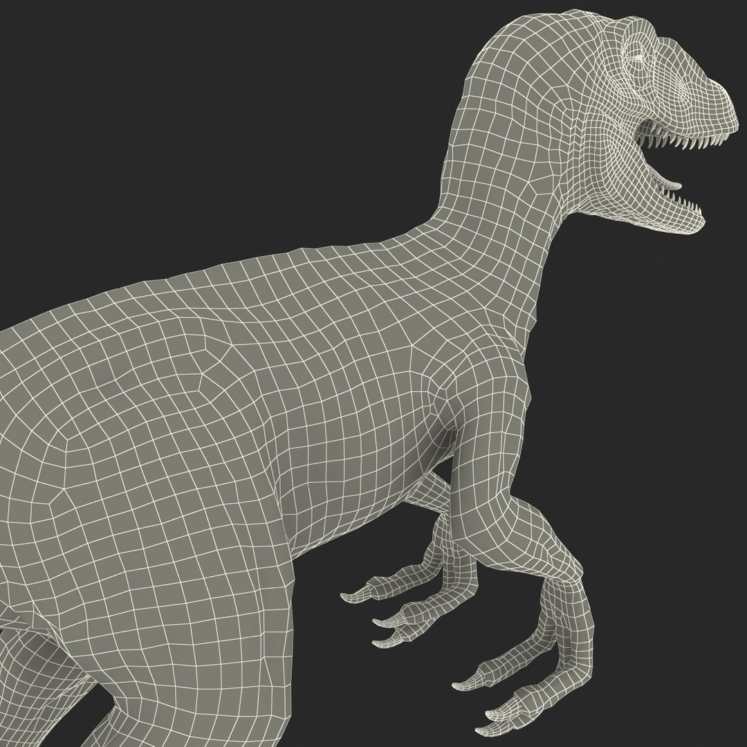 Raptor Dinosaur 3d Model
