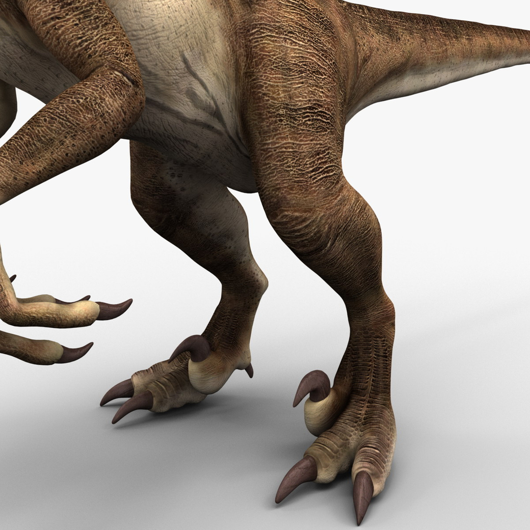 raptor dinosaur 3d model