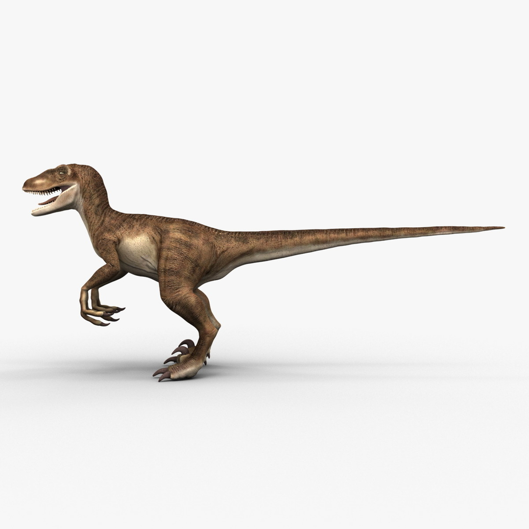 Raptor Dinosaur 3d Model