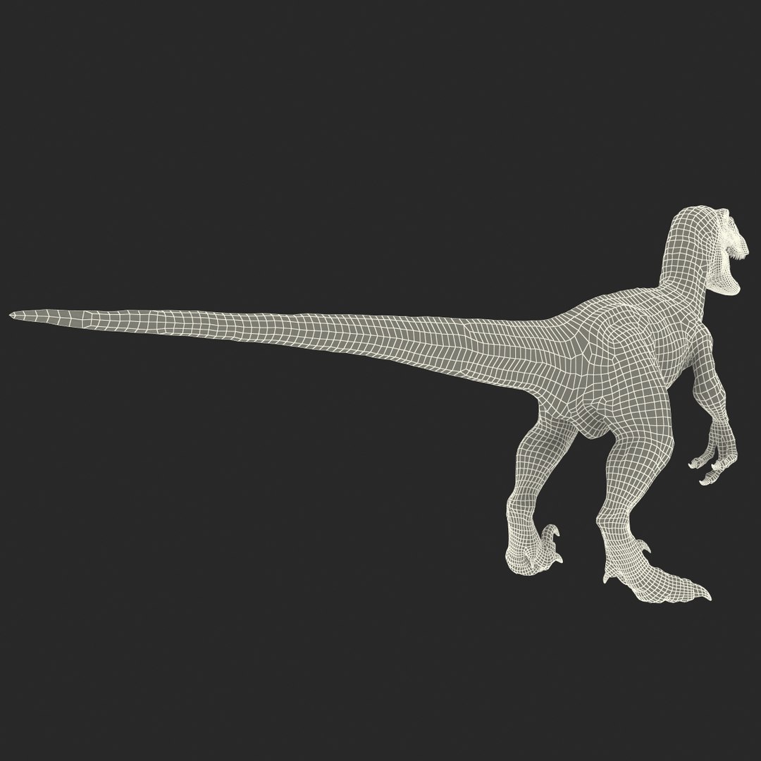Raptor Dinosaur 3d Model
