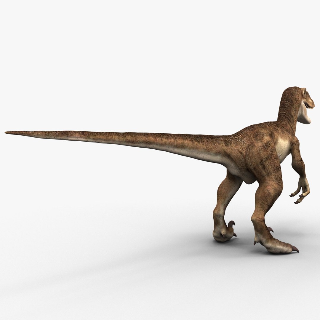 Raptor Dinosaur 3d Model
