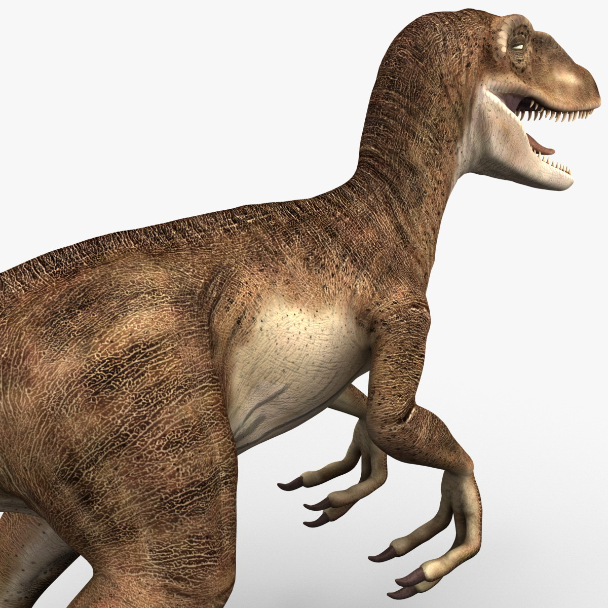 raptor dinosaur 3d model