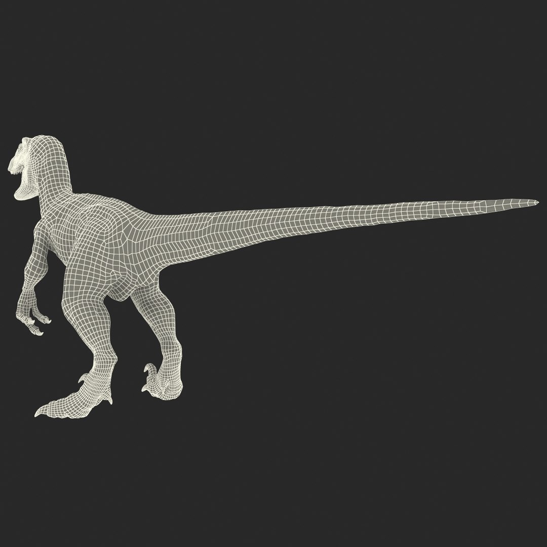 Raptor Dinosaur 3d Model