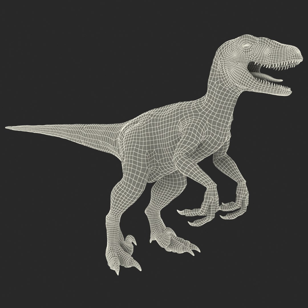 Raptor Dinosaur 3d Model