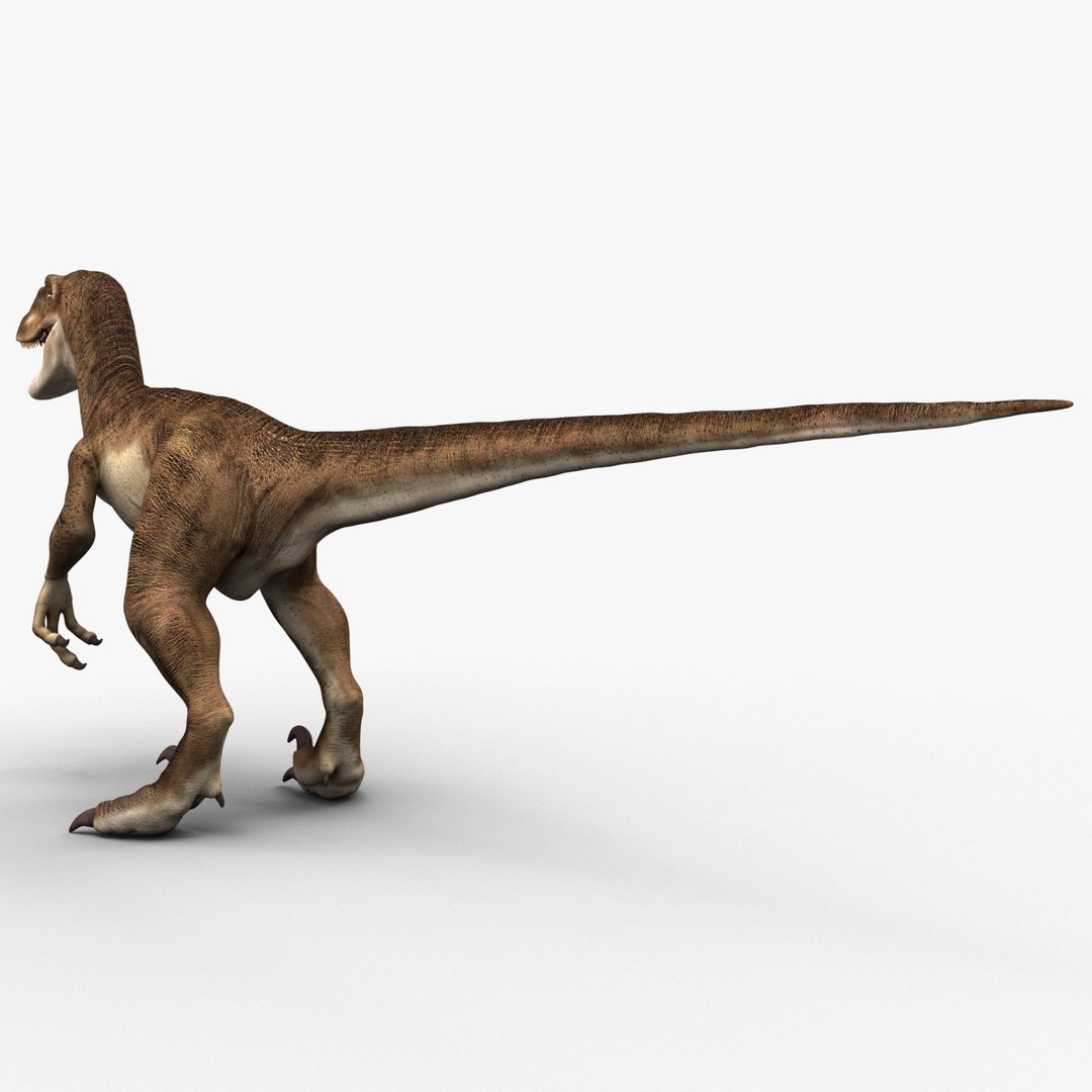Raptor Dinosaur 3d Model