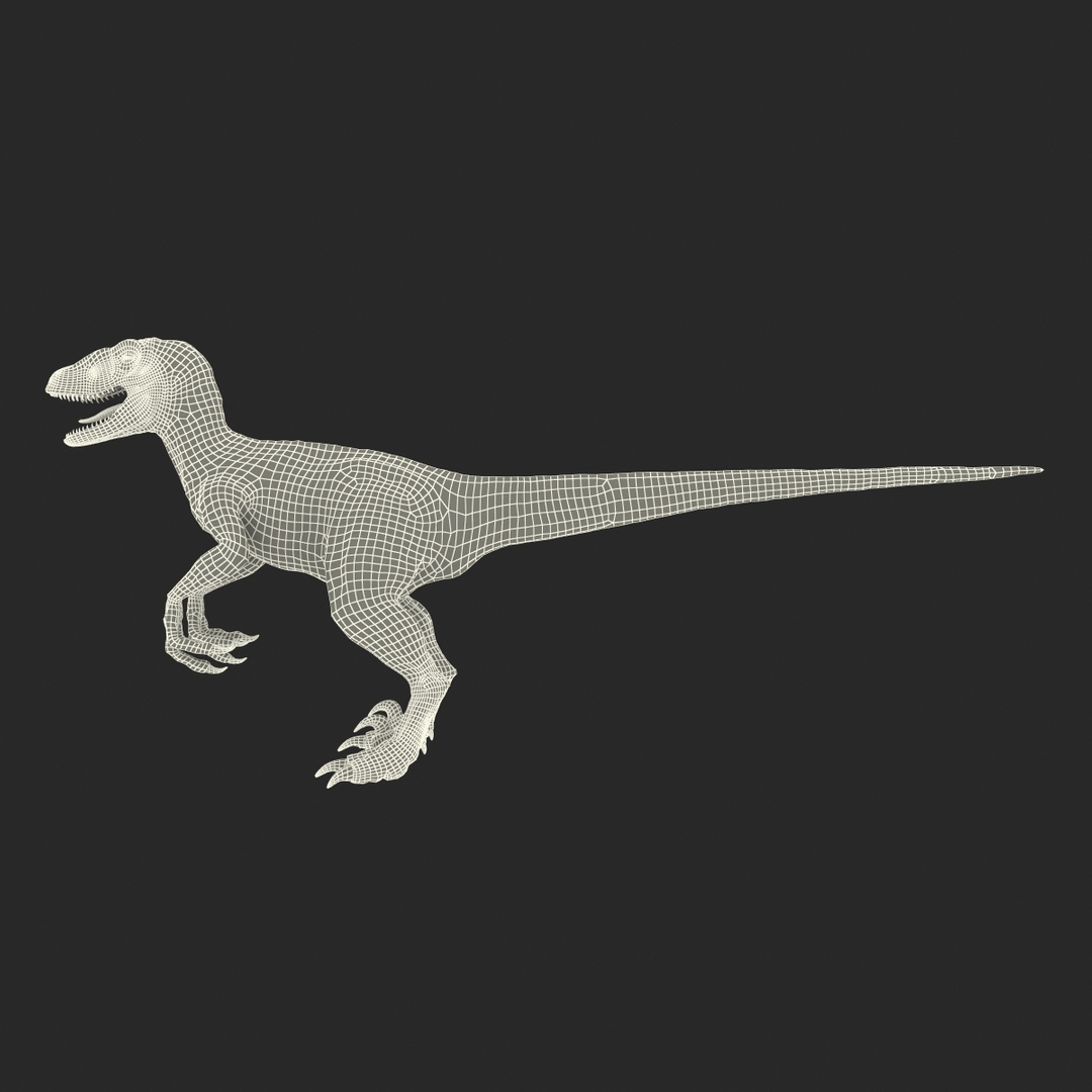 Raptor Dinosaur 3d Model