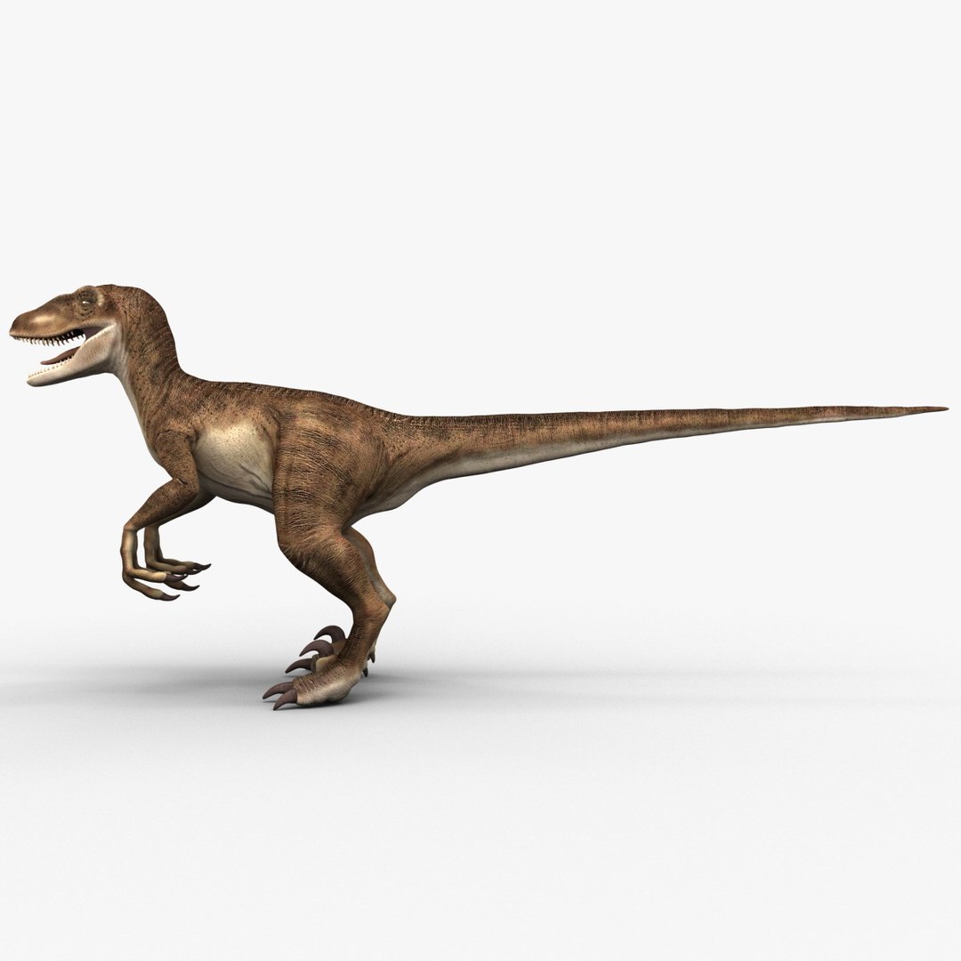 Raptor Dinosaur 3d Model