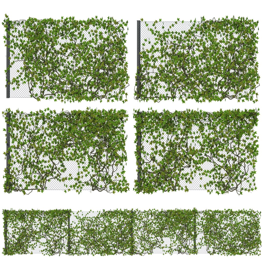 3D Fence With Ivy V11 - TurboSquid 1770815