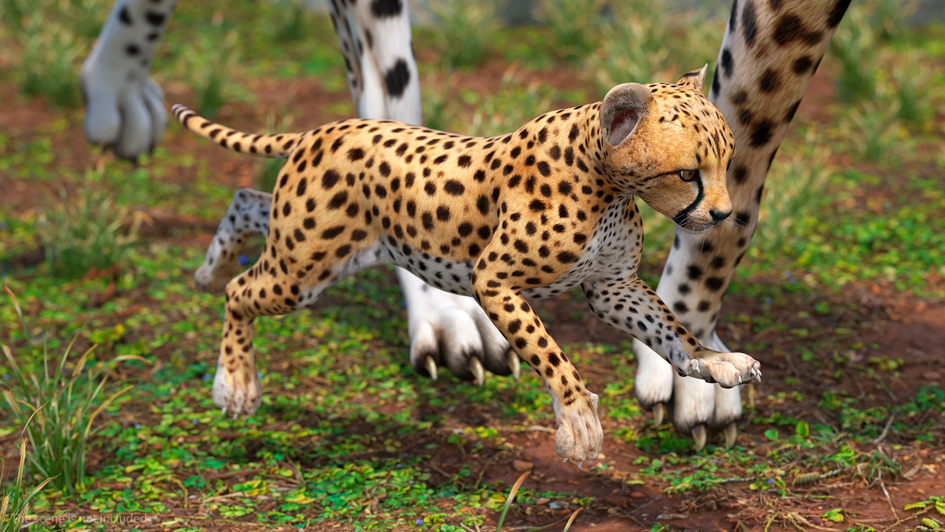 Cheetah With Cub Walking 3D Model - TurboSquid 2371475