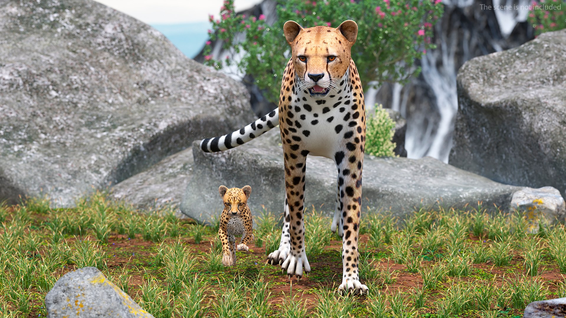 Cheetah With Cub Walking 3D Model - TurboSquid 2371475