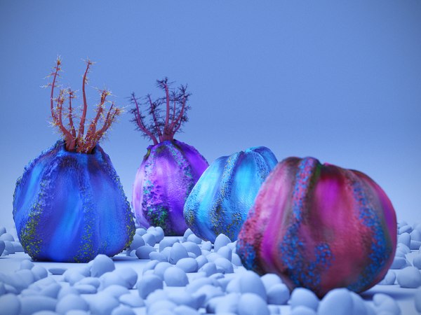 3D sea apple - TurboSquid 1562669