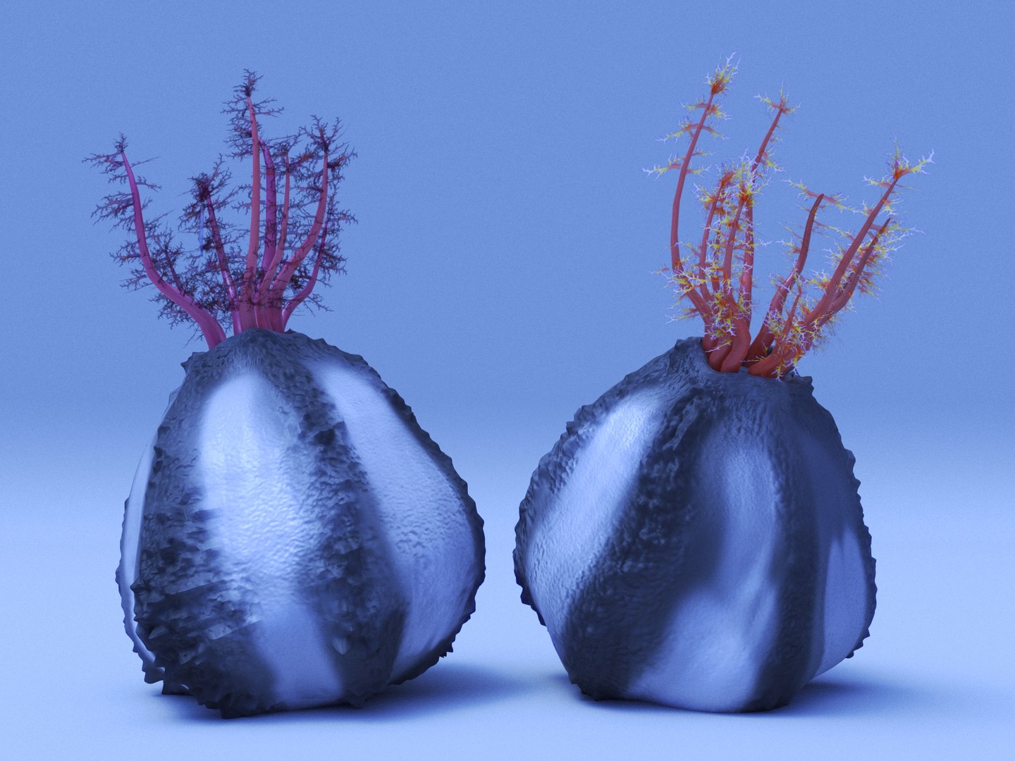 3D Sea Apple - TurboSquid 1562669