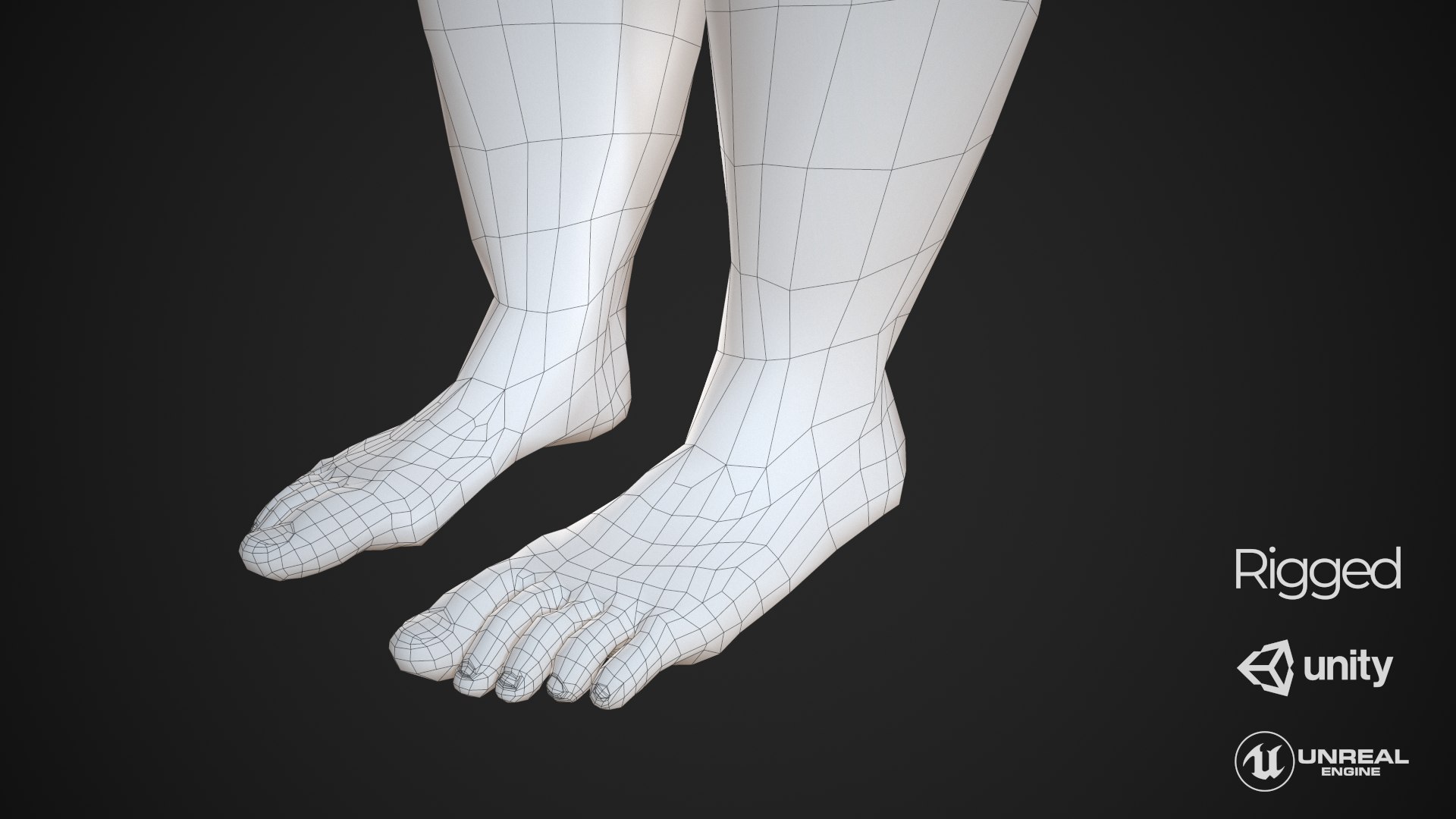 Base Mesh Basemesh 3D - TurboSquid 1680955