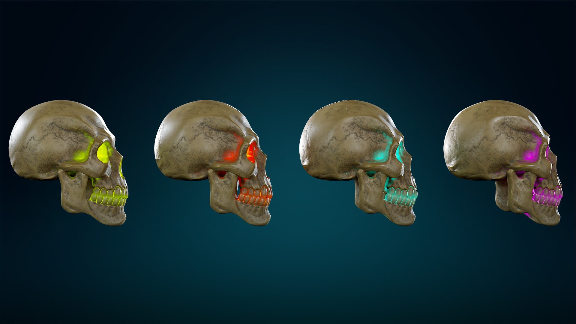 3D Human Skeleton Skull - Yellow- Lowpoly - Game Ready - TurboSquid 2154238