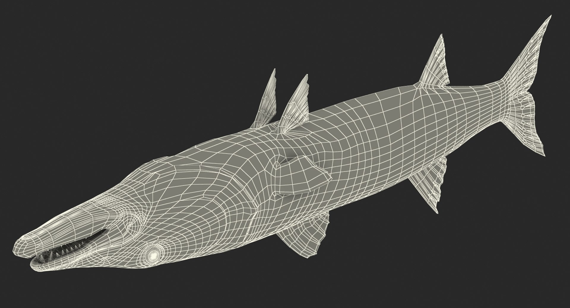 barracuda fish 3d model