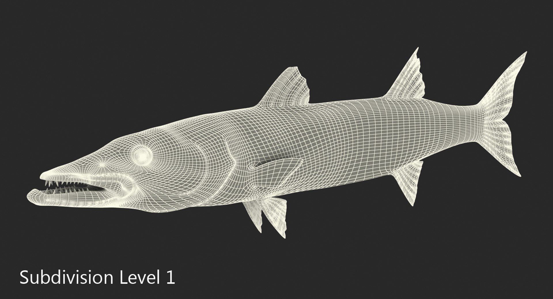 barracuda fish 3d model
