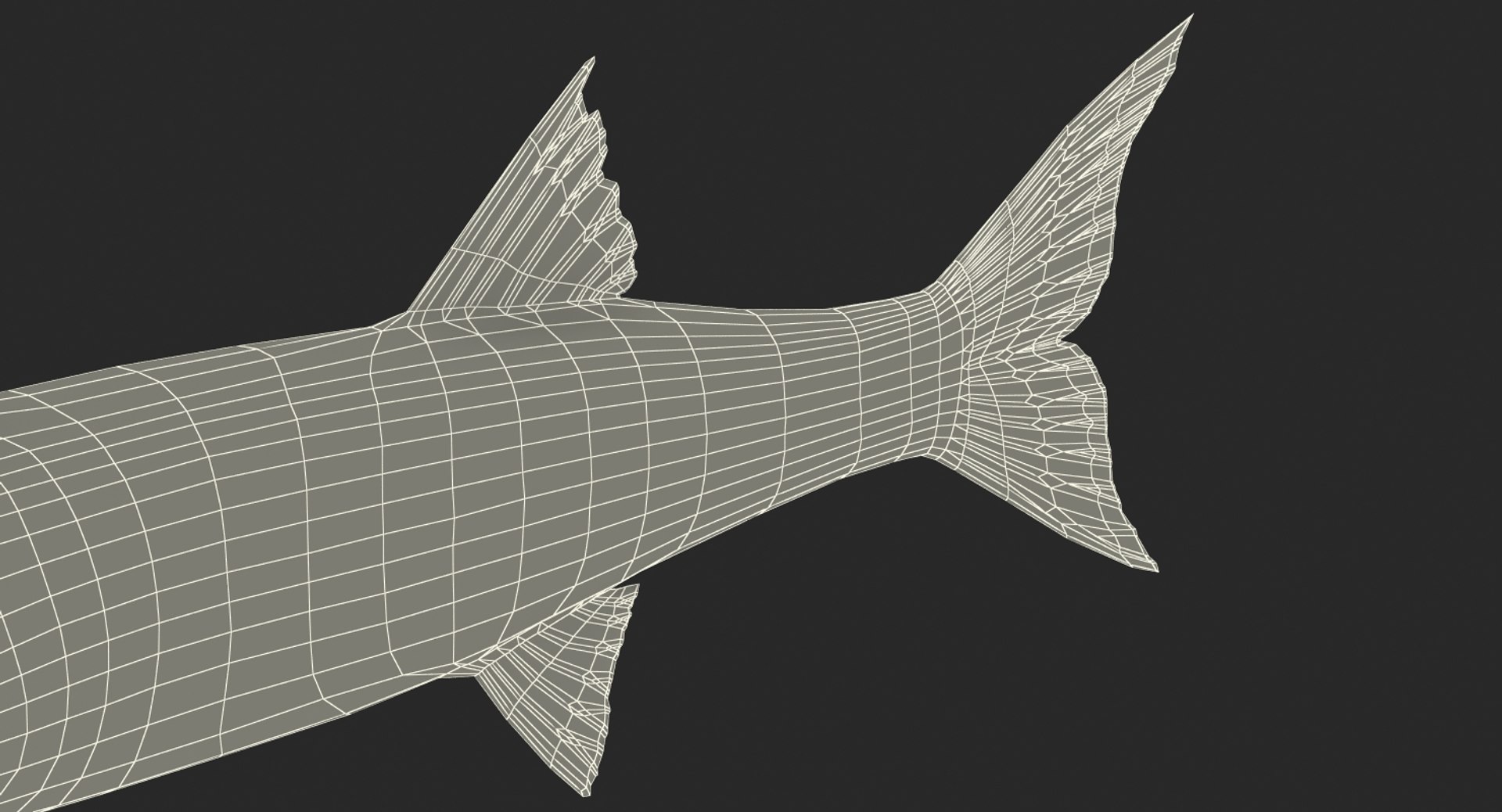 barracuda fish 3d model