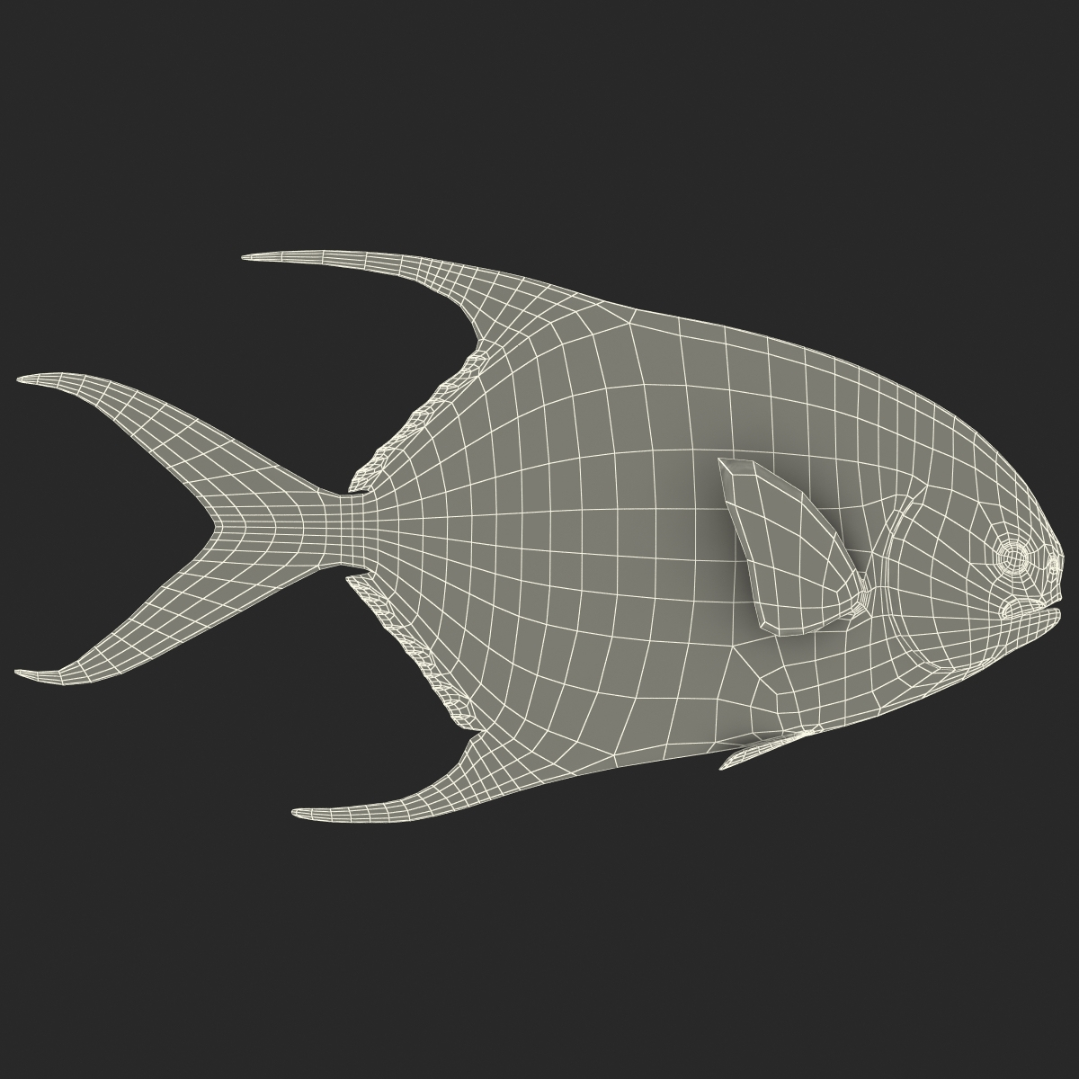 3d model permit fish