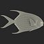 3d Model Permit Fish