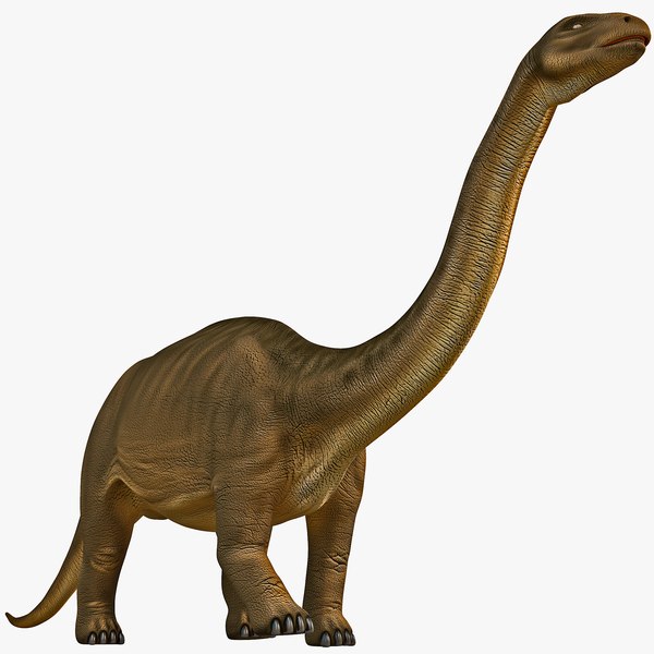 brontosaurus prehistoric dinosaur 3d model
