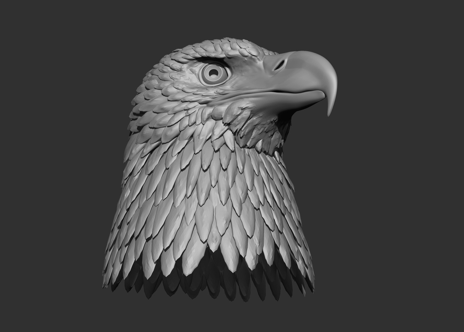 Eagle Head 3D Model - TurboSquid 2231841