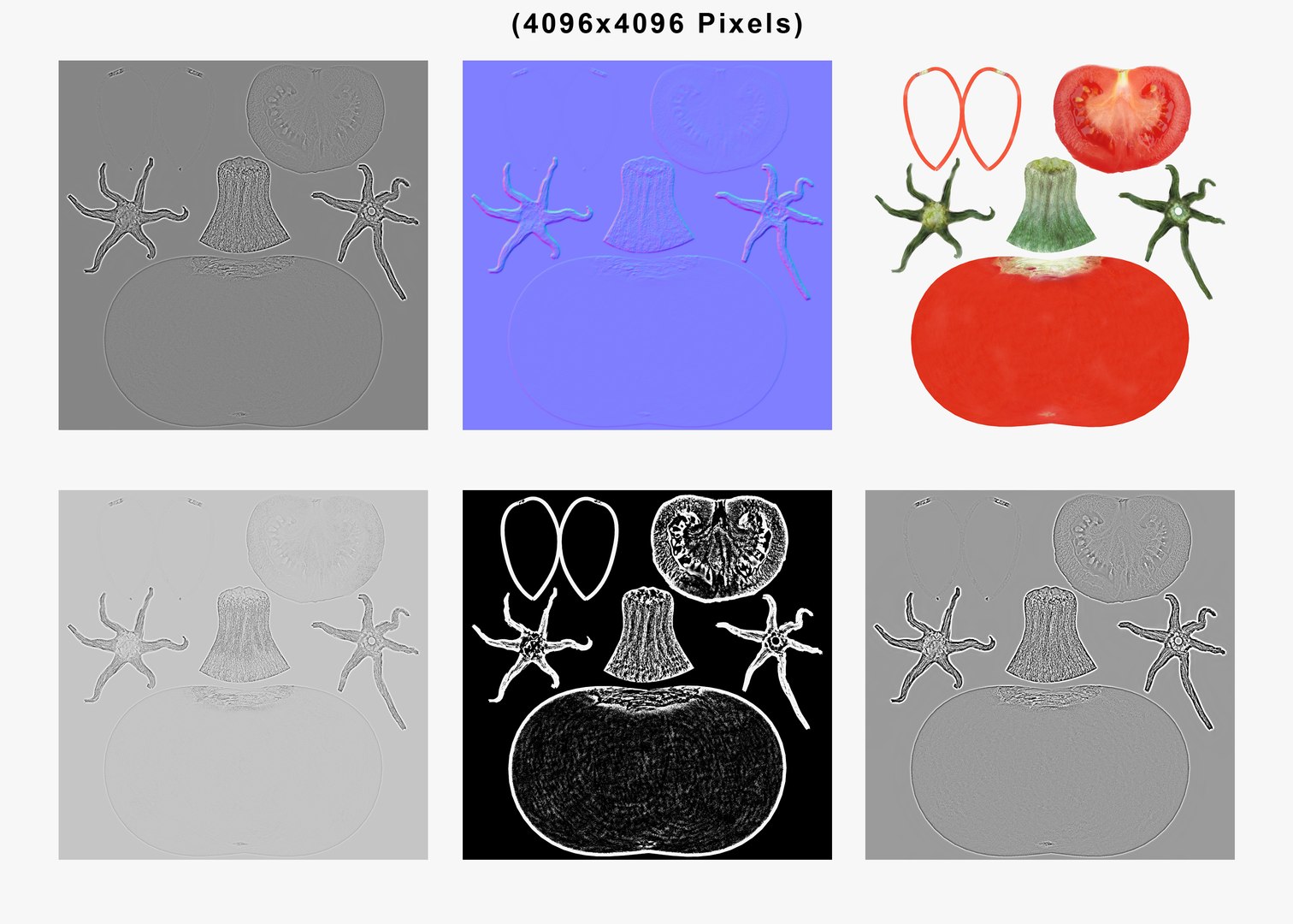 Tomato 3d Dxf