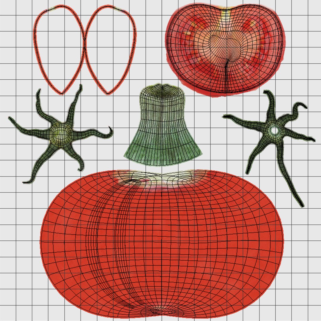 Tomato 3d Dxf