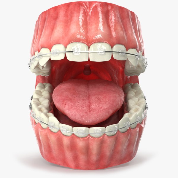 Free 3D Teeth Models | TurboSquid