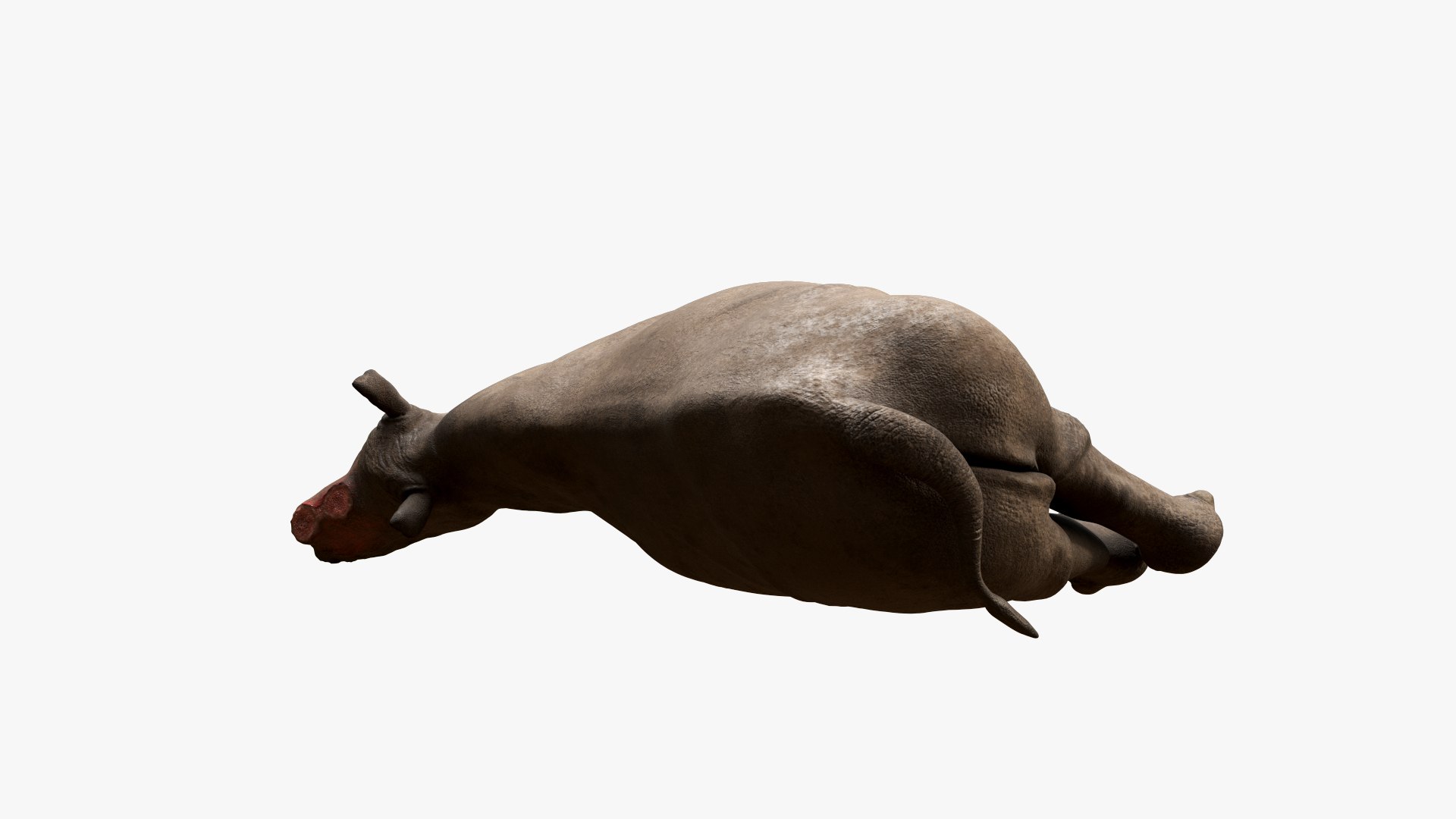 3D Dead Rhino - TurboSquid 1732410