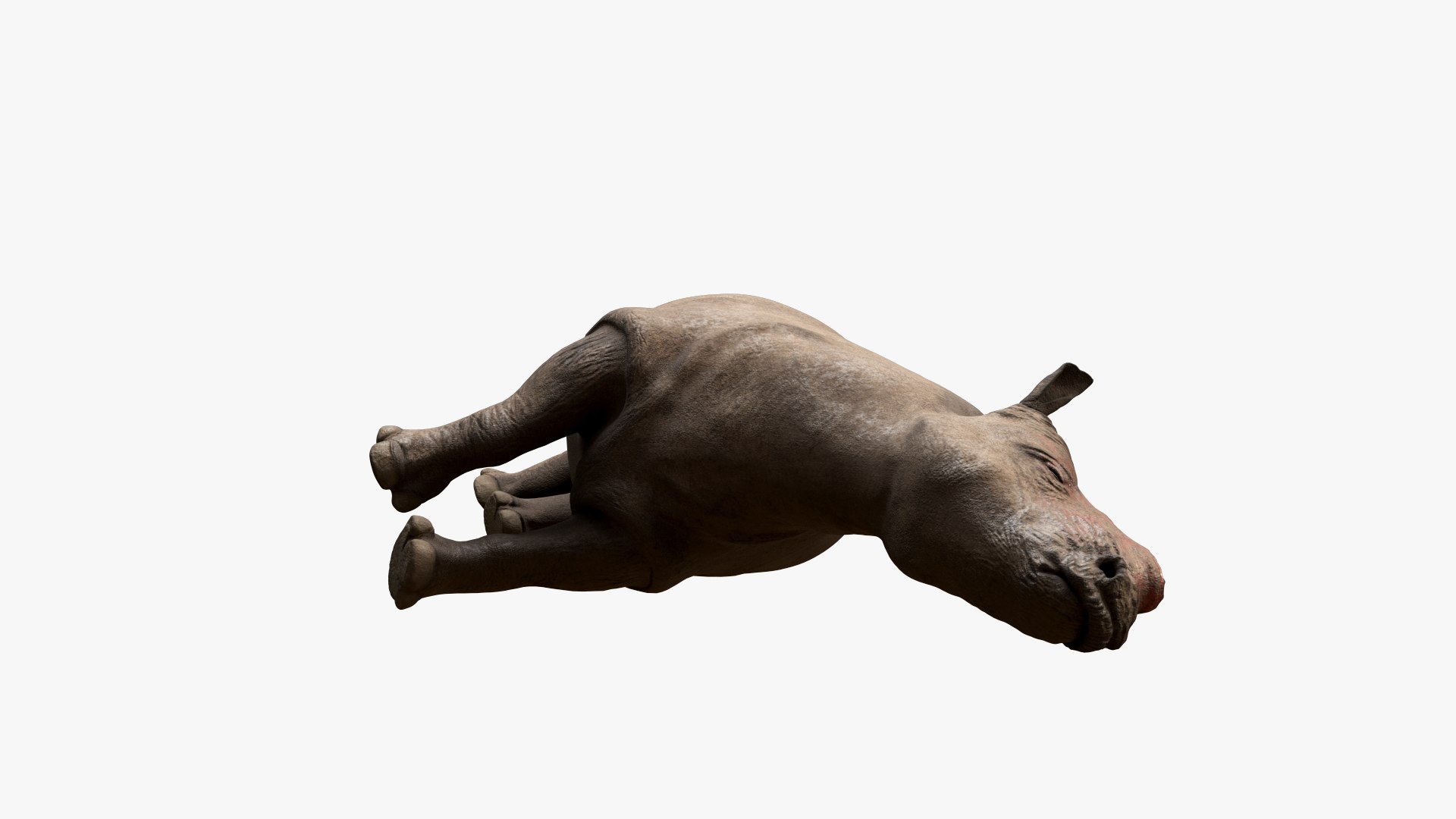 3D Dead Rhino - TurboSquid 1732410