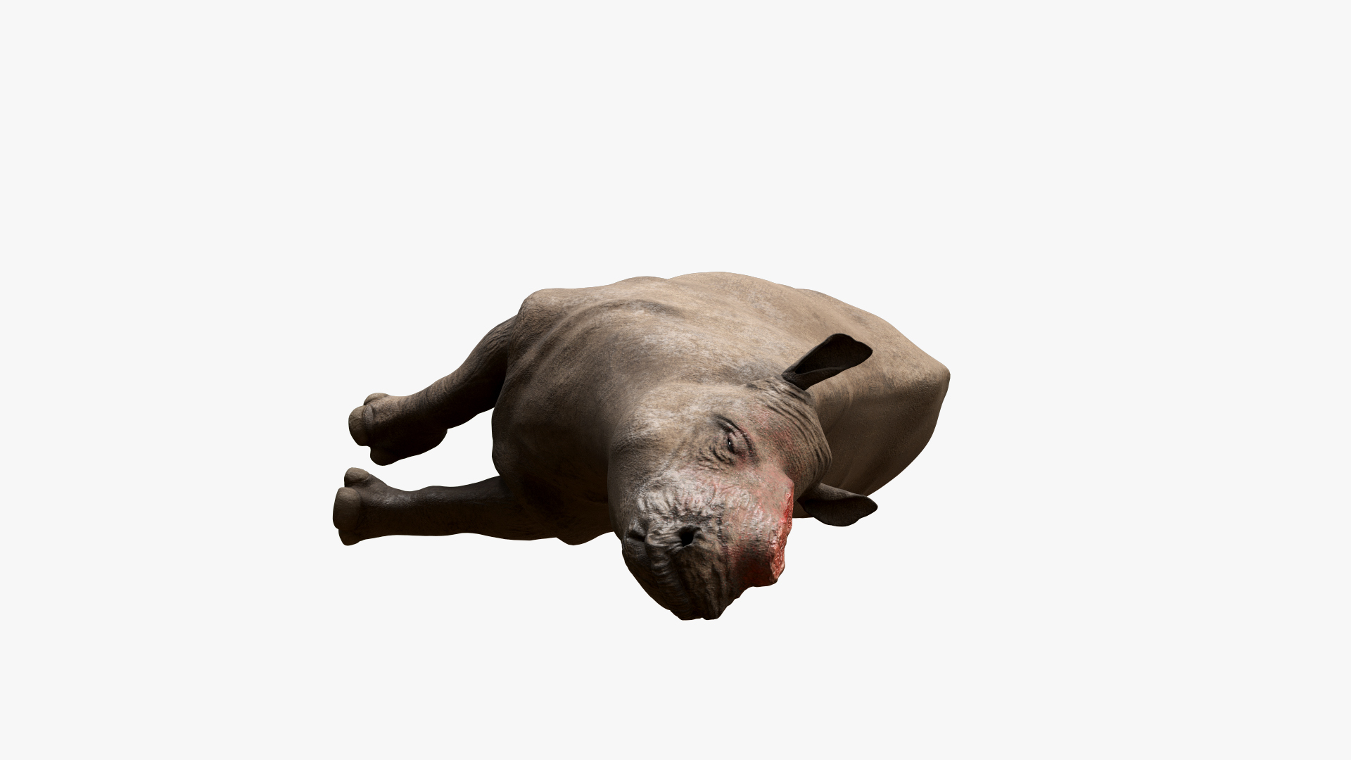 3D Dead Rhino - TurboSquid 1732410