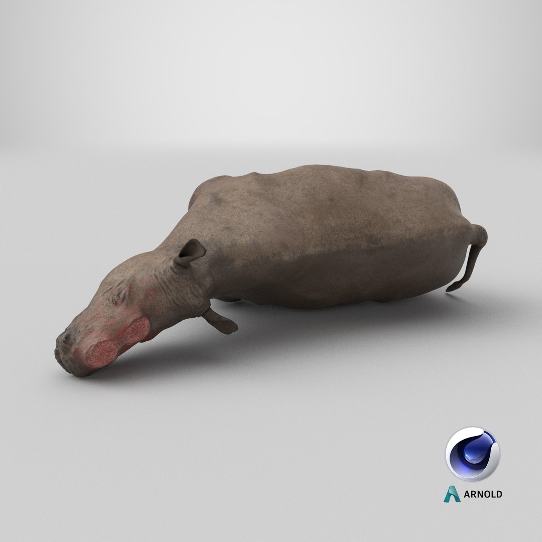 3D Dead Rhino - TurboSquid 1732410