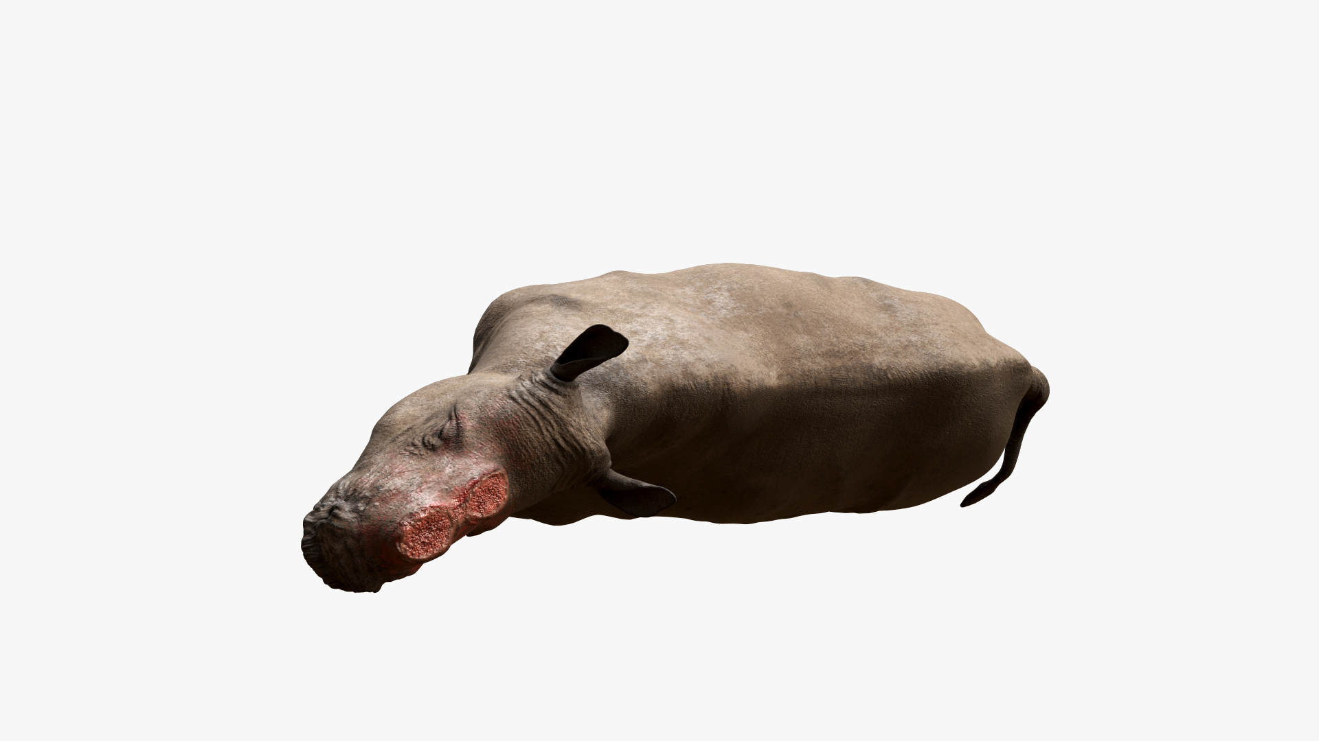 3D Dead Rhino - TurboSquid 1732410
