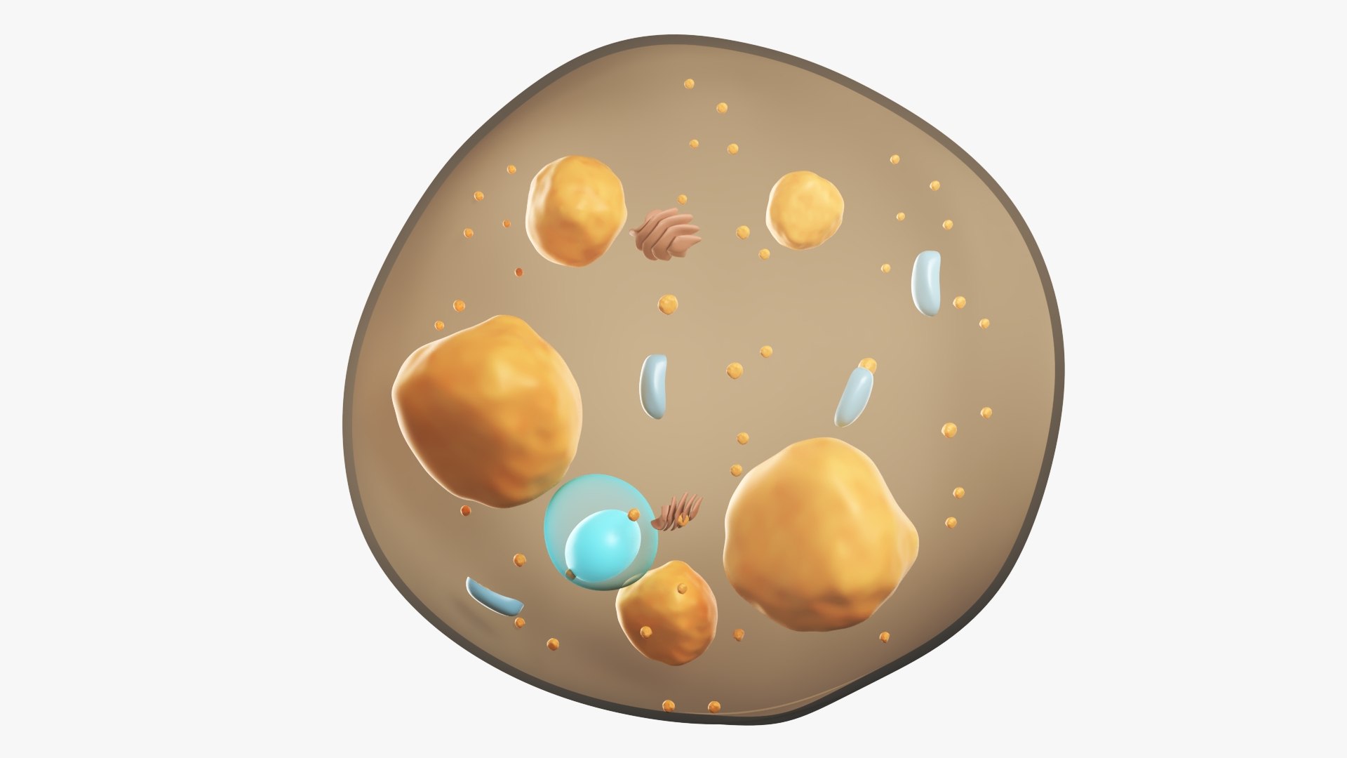 Beige Fat Cell 3D Model - TurboSquid 2249831