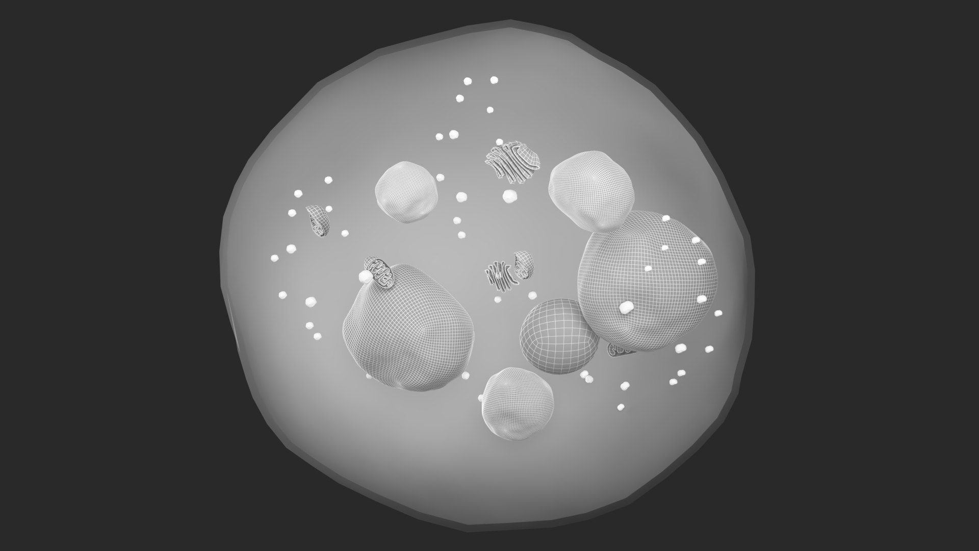 Beige Fat Cell 3D Model - TurboSquid 2249831