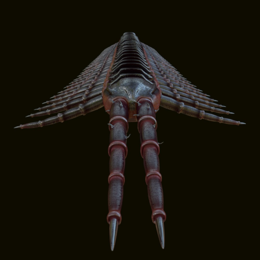 3D centipede - TurboSquid 1221389
